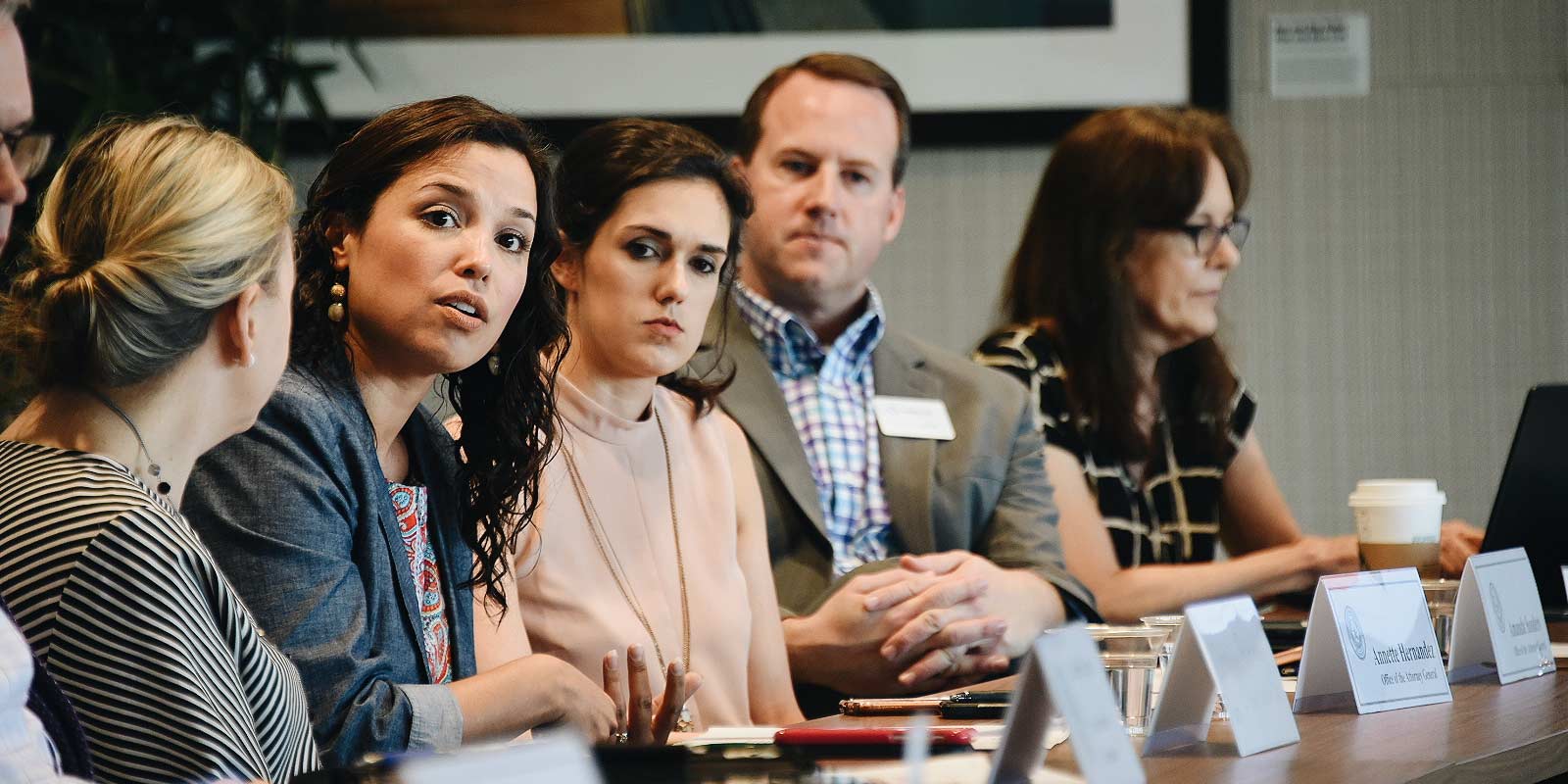 Interagency Coordinating Group - OneStar Foundation